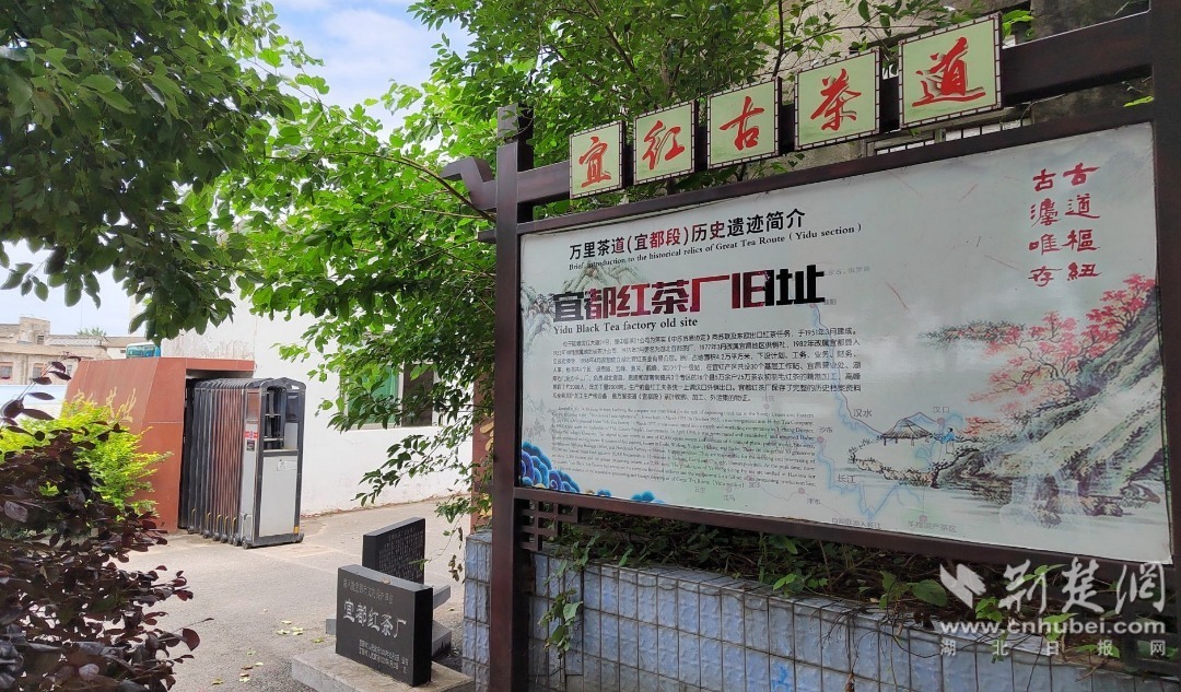 舌尖上的“Made in Yidu”秀出国际范儿-荆楚网-湖北日报网